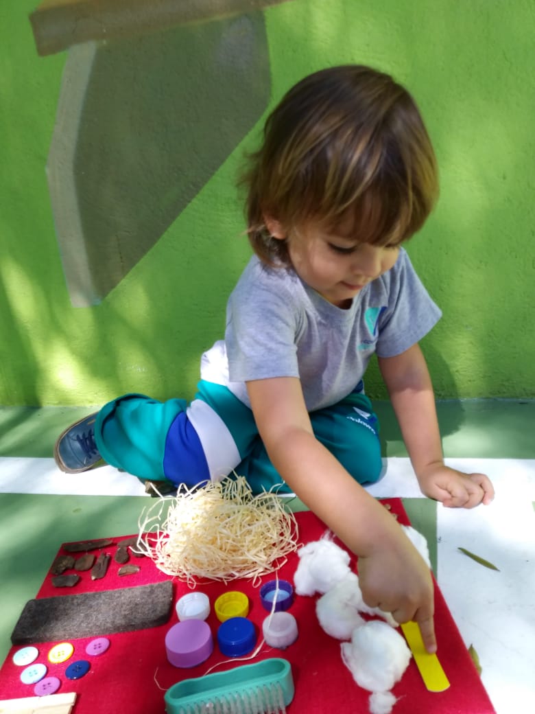 Conhecendo as texturas – Infantil 2 | Colégio Palavra Viva